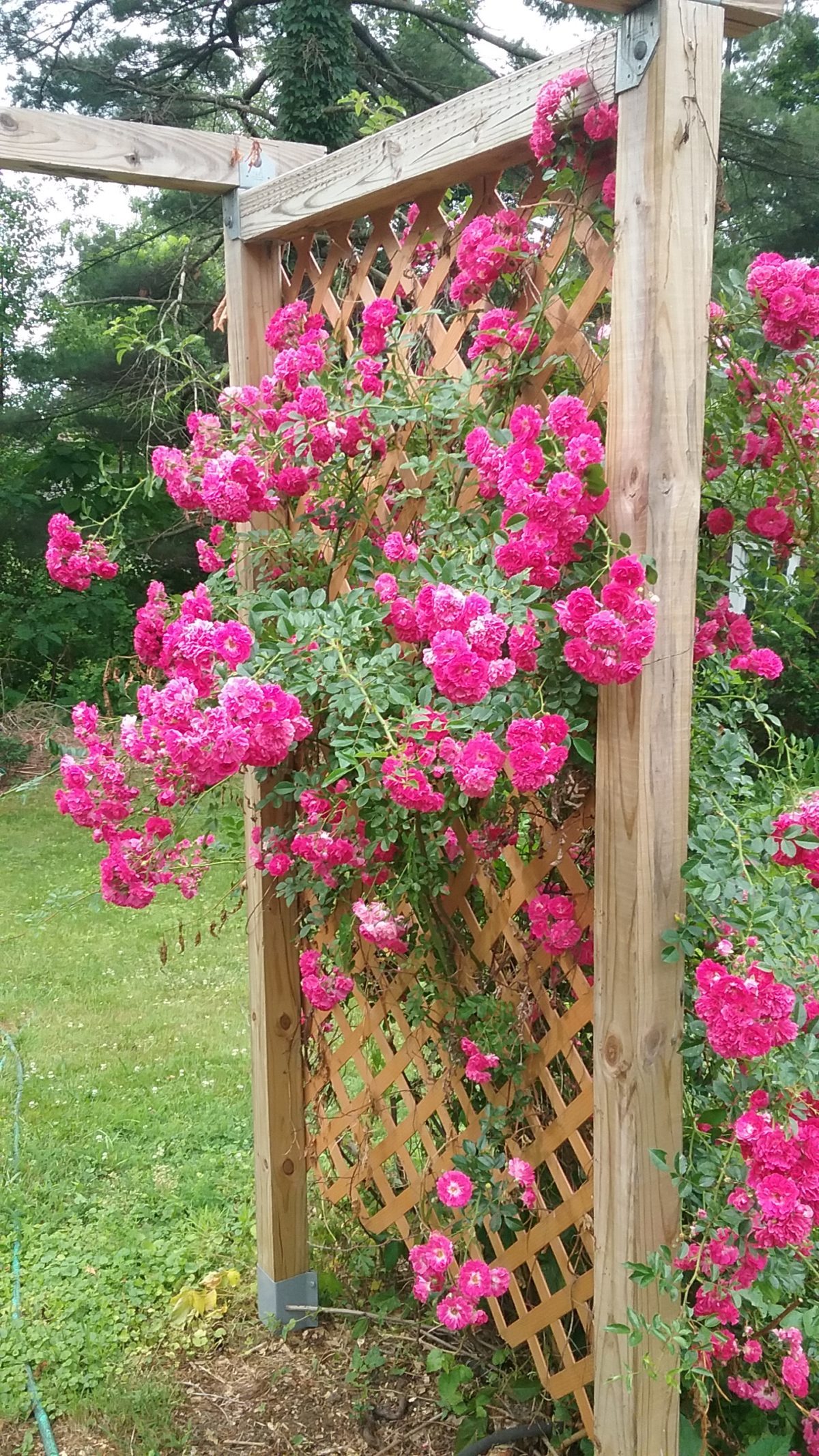 About – John Backman